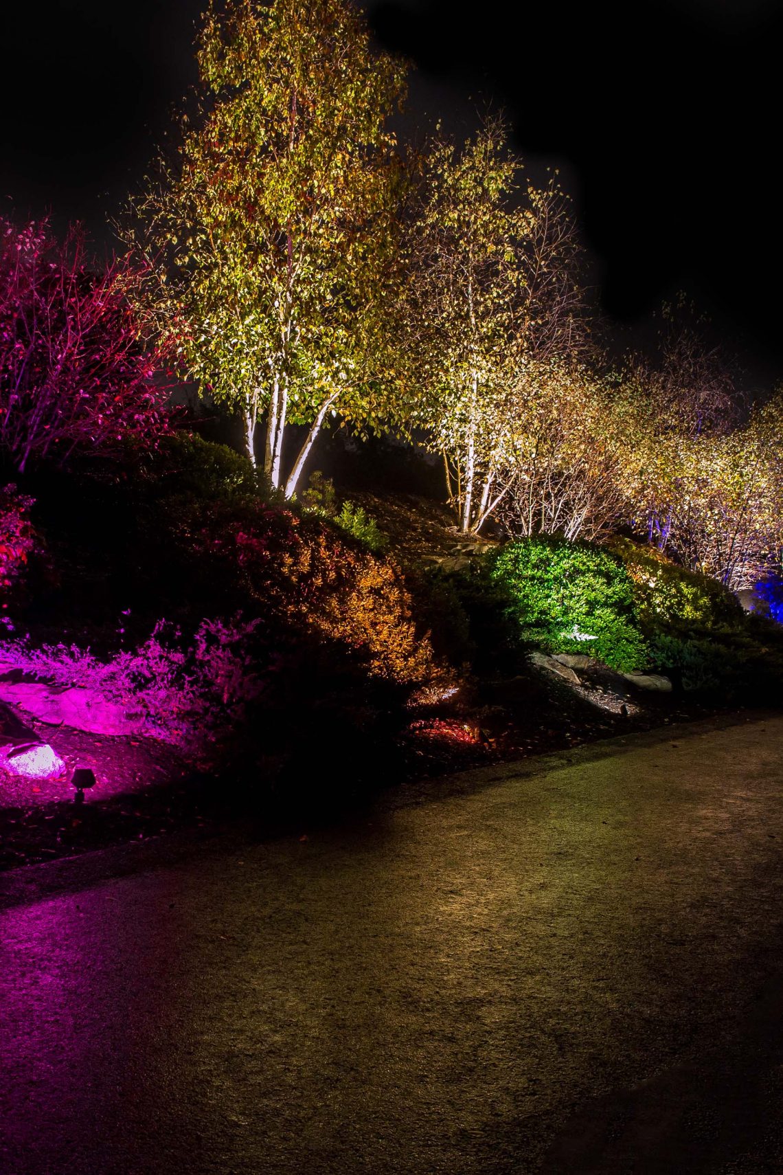 WAC Lighting - Technology Designer WAC Lighting